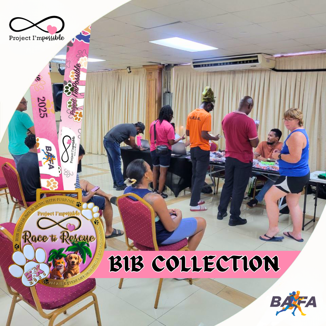 Bib Collection for the Project I’mPossible: Race to Rescue 5K 2025 ...